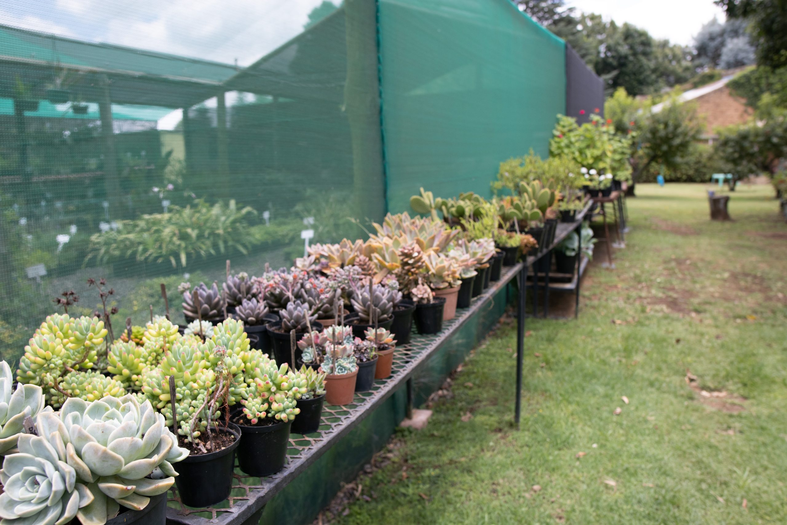 Plant Nursery | Clandoyle